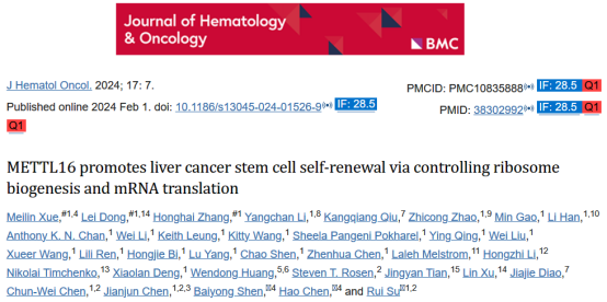 J Hematol. Oncol. (IF=28.5): 揭秘METTL16在肝癌干细胞自我更新中的 - 守正弘药（武汉）生物科技有限公司